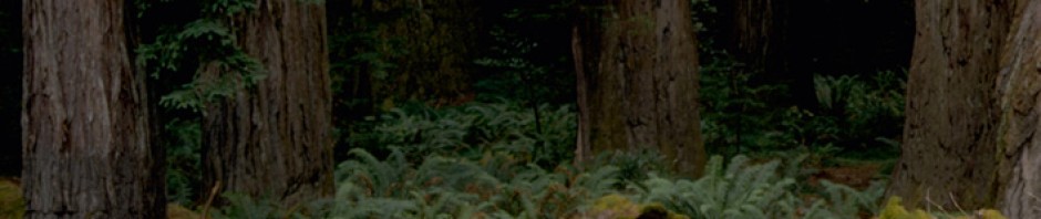 cropped-Nature_2.jpg